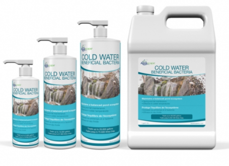 Pond Care 101: What Kind of Pond Chemicals do I Need for Spring? | Twin ...