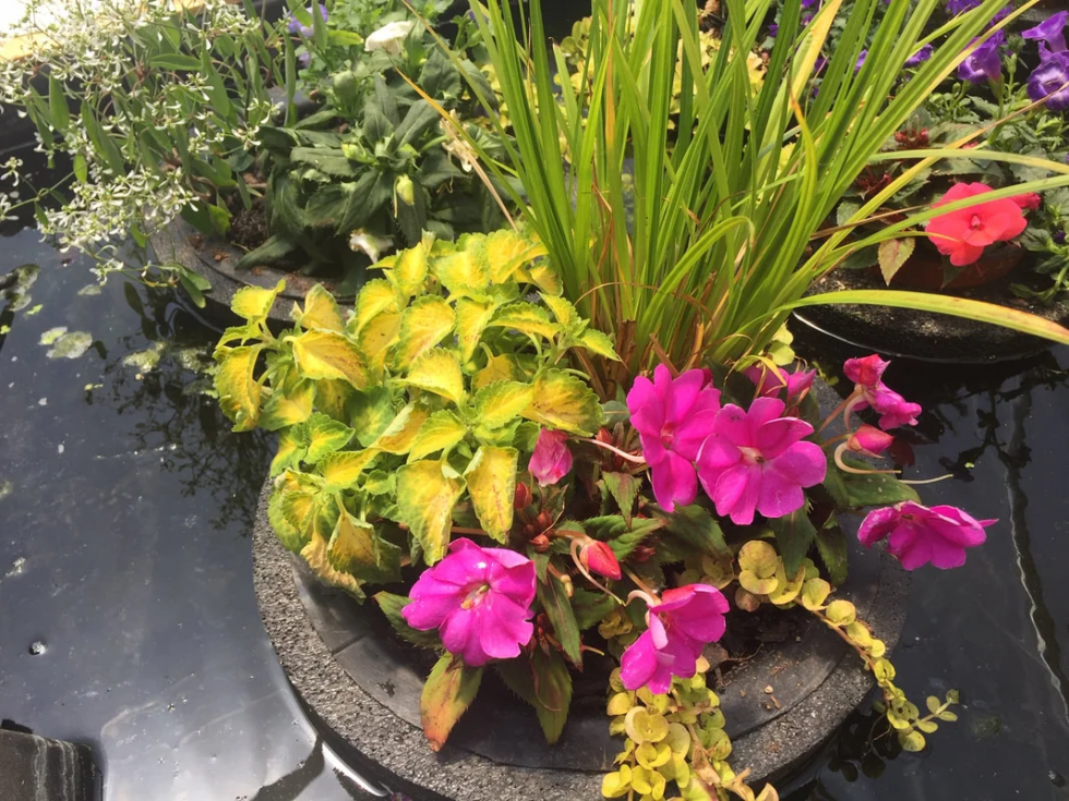 Floating Island Planters | Twin Cities, Minneapolis, St Paul ...