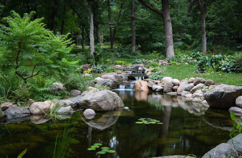 Pond Care and Fish Pond Care 101- Learn the basics of Pond Care! | Twin ...